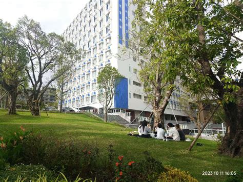 森林——自然疗愈团体辅导 Student Health And Counselling Centre