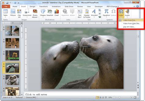 How To Mute Video In A PowerPoint Presentation Ppt Bird