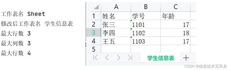 Python Excel Openpyxl Python