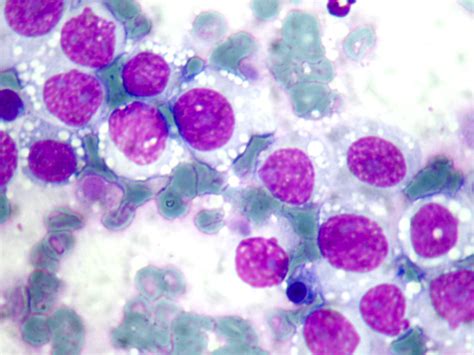 Medio Ambiente Citologia Biología