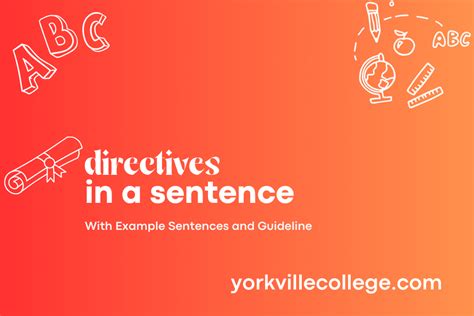 How To Use Directives In A Sentence Easy Examples