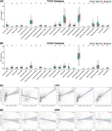 Differential Infiltration Of Tumor Immune Cells Related To Ak2 Download Scientific Diagram