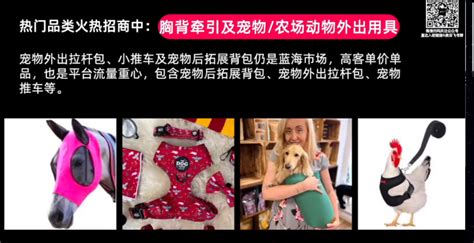 备战2023黑五，tiktok Shop旺季爆品预测 跨境魔方资讯中心