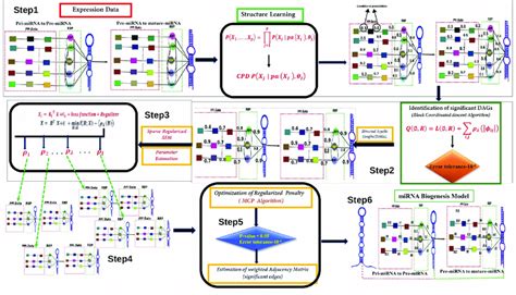 The Basic Steps Taken In Bayesian Network Reconstruction Different