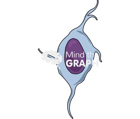 Free Neuroblast Icons Symbols Pictures And Images Mind The Graph