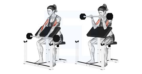 Lever Bicep Curl Guide Benefits And Form