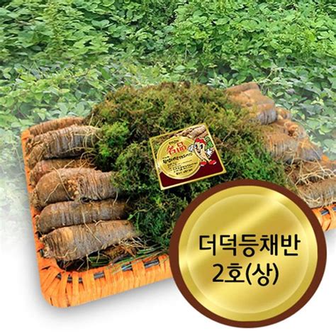 더덕 등채반 2호1kg 홈플러스 택배배송
