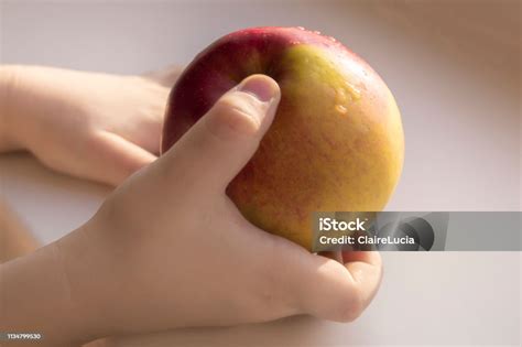 아이는 그의 손에 잘 익은 사과를가지고 클로즈업 햇빛 어린이를 위한 건강 한 영양의 개념 가까운에 대한 스톡 사진 및 기타