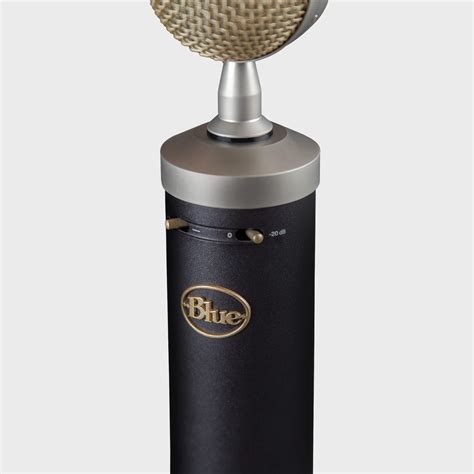 Blue Bottle Mic Polar Pattern