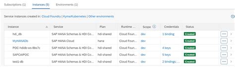 Create A Cds Entity In Sap Btp Expose The Entity Sap Community