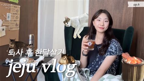 여행 기록 어서와 대정읍은 처음이지🐱 제주 한달 살기🍊 Day 15~17 소규모게하오설록협재노을수용배낚시불멍고산의낮 제주 브이로그 Ep 6