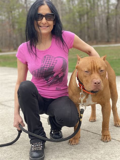 Camelot Pits Bug Camelot Pits