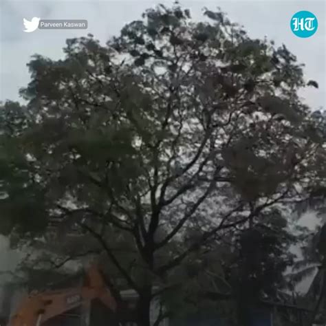 Apoorv Srivastava On Linkedin Environmentallyconscious Research