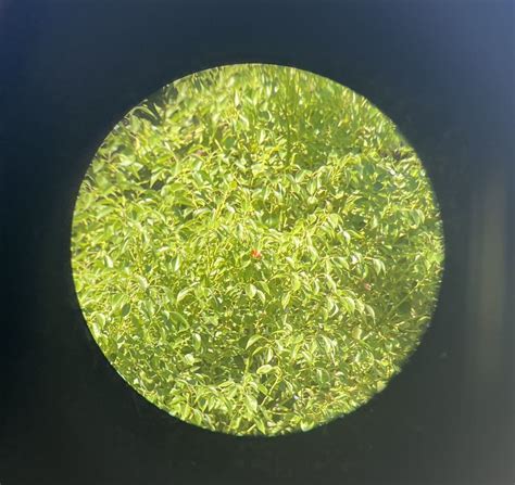 Yahoo オークション Evolution Gear エボギア Ta11 Acog Hw Rmr エ