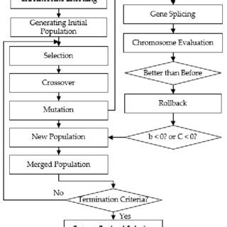 Flow Chart Of Improved GA Download Scientific Diagram