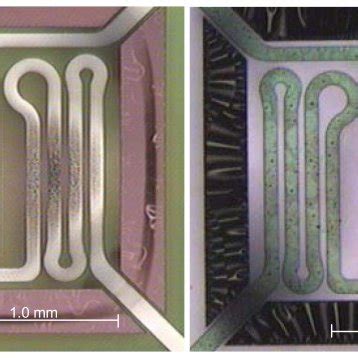 PDF High Temperature MEMS Heater Platforms Long Term Performance Of Metal And Semiconductor