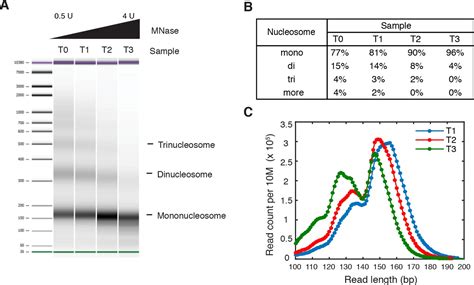 Figures And Data In A Computational Approach To Map Nucleosome Positions And Alternative