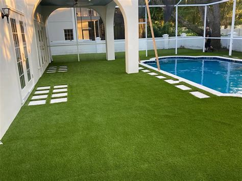 Bug Free Bliss How Artificial Grass Keeps Pests At Bay