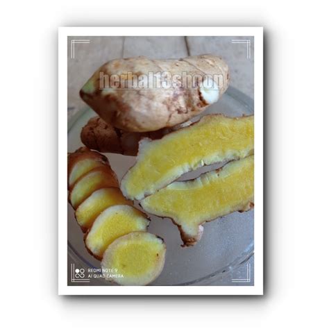 Jual Temu Kunyit Mangga Segar Fresh 1kg Shopee Indonesia