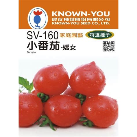 【台灣出貨 電子發票】小番茄 嬌女 種子 20粒 菜籽 果菜 水耕 番茄 農友 空中花園藝世界 特選種子 Sv 160 蝦皮購物