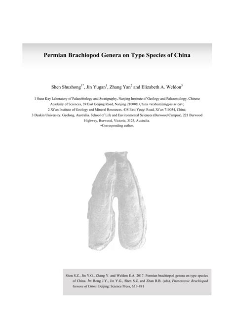 Pdf Permian Brachiopod Genera On Type Species Of China