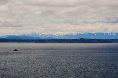 The Effort To Bring Tokitae Home The Spectator