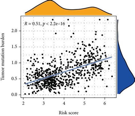 Alteration Of Tmb Between The Risk Groups In The Tcga Cohort
