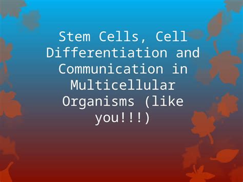 Pptx Stem Cells Cell Differentiation And Communication In
