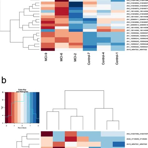 Representative Clustering Heatmap Analysis A A Heatmap Displaying