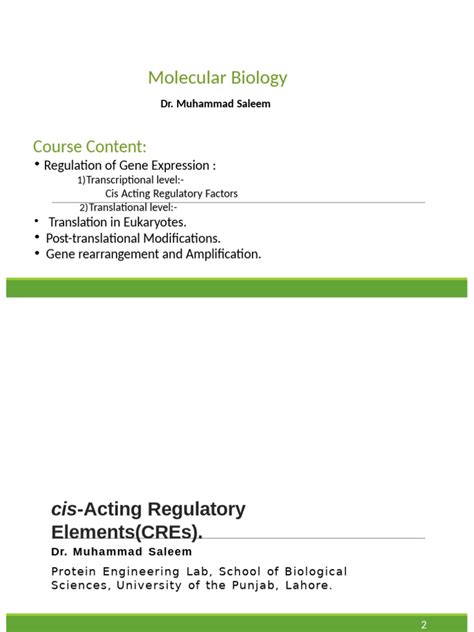 Cis Acting Regulatory Elements Cres Pdf Promoter Genetics