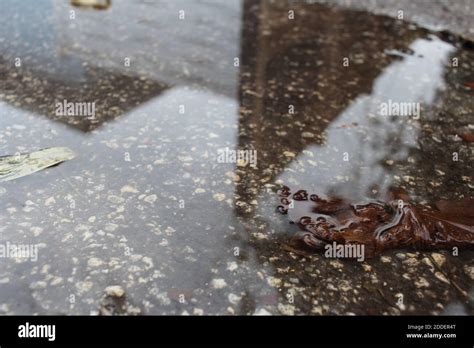 Rain Puddle Medium Shot Hi Res Stock Photography And Images Alamy
