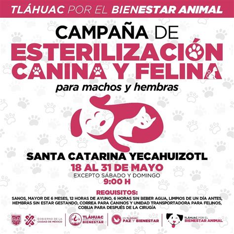 NoticiasCD MX On Twitter ULTIMAHORA AlMomento Esteriliza