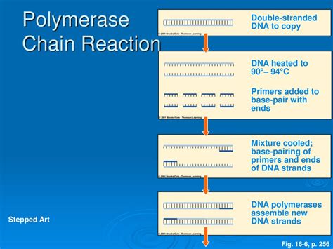 Powerlecture Chapter Ppt Download