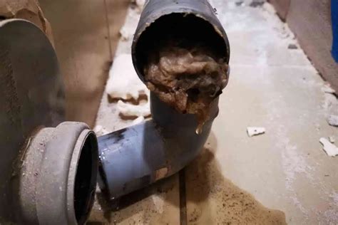 Top 5 Signs Of Clogged Sewer Line Key Causes And Fixes