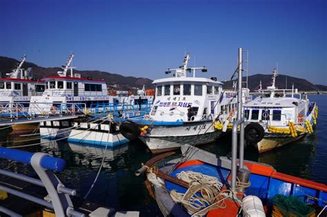 거제 동백섬 지심도 배편 지세포항에서 동백꽃 보러 가는법 네이버 블로그