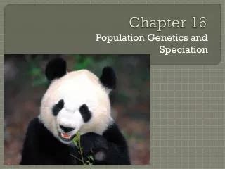 PPT Chapter PowerPoint Presentation Free Download ID