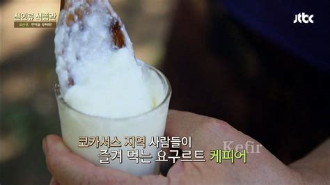 요구르트 케피어 유산균 가득 장 건강을 활발하게~ 신인류 식품관 24회 Youtube