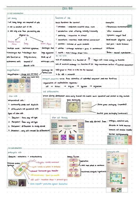 Ib Hl Biology Chapter 1 Cell Biology Summary Biology Stuvia Uk