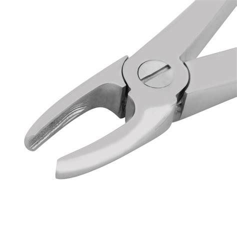 Dental Extraction Forceps Eickemeyer Veterinary Technology