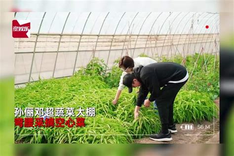 孙俪带娃下地干农活，挖红薯烤红薯不怕累，邓超暴瘦成型男认不出红薯邓超暴农活