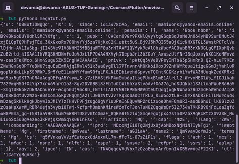 How To Use Meganz Api With Python Geeksforgeeks