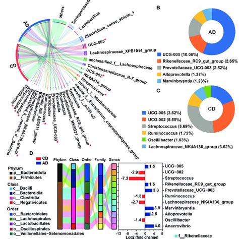 Correlation Analysis Of Microbiota And Scfa A Redundancy Analysis Of
