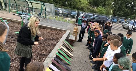 Mead Primary Year 5 Forces Mead Primary Year 5 Forces