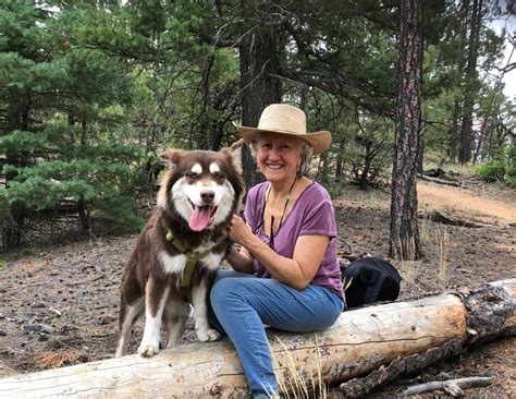 The Heretical Vet Dee Blanco Dvm Substack