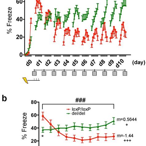 Contextual Fear Extinction Was Abolished In Mglur5 Deficient Mice