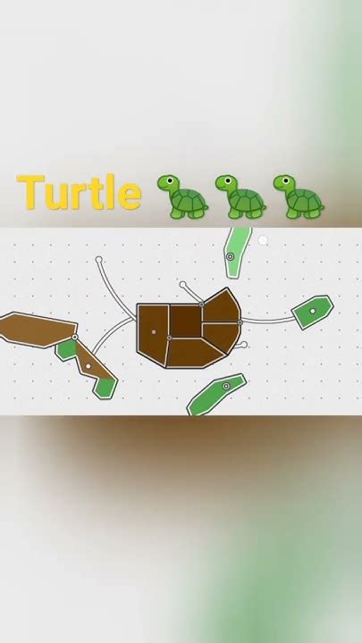 Turtle 🐢🐢🐢🐢 Shortsfeed Shortsfeed Ytshortsviral Ytshorts Viral