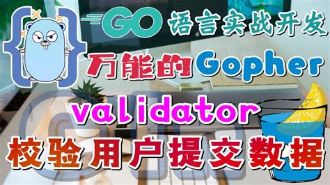 43 go 语言实战开发 gin 校验用户提交的数据 validator youtube