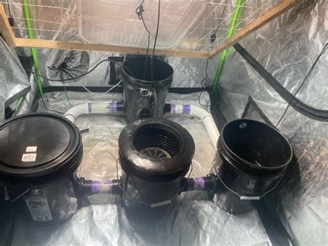 Dwc Rig 3 1 The Reckoning R Dwc