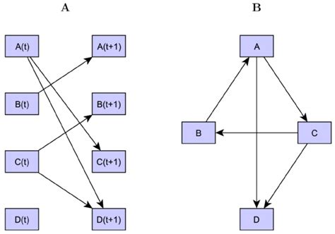 A Dynamic Bayesian Network And Its Translation Into A Gene Regulatory