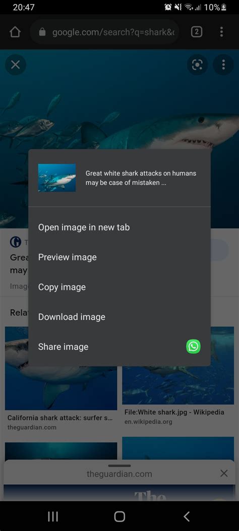 Why Is Google Reverse Image Search So Bad Infoupdate Org
